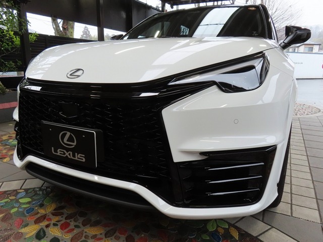 レクサス LBX モリゾウ RR 4WD 2024年 720キロ (東京都) オートスポット J.P.S - carview!