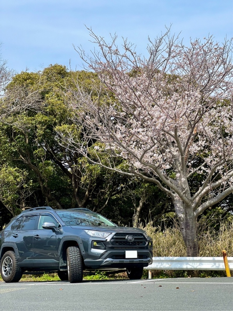 トヨタ RAV4(2024年12月モデル) の新車情報・カタログ - carview