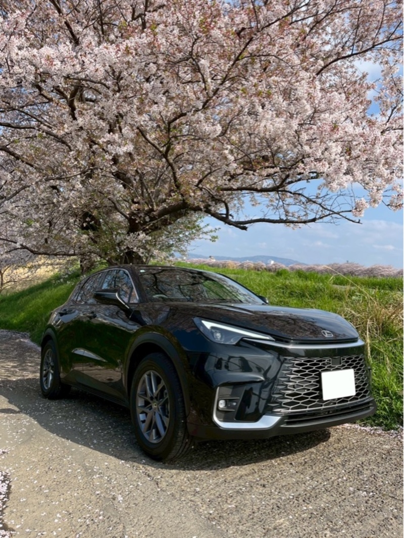 レクサス LBX 新車情報・カタログ - carview!