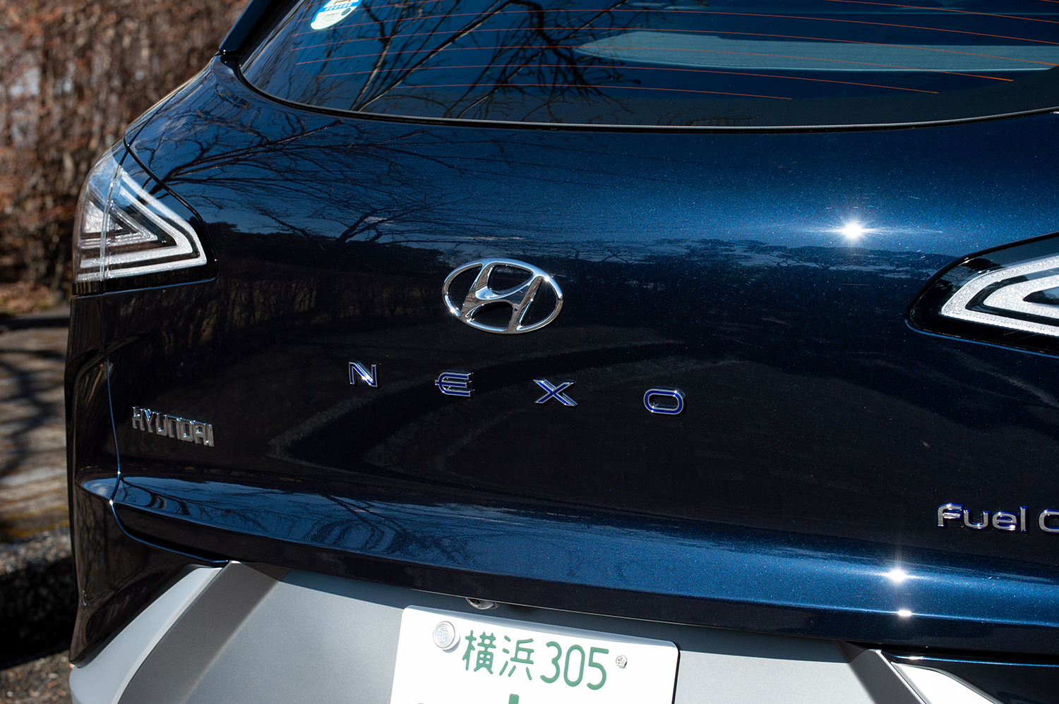 ヒョンデもまた「水素」の可能性を探るメーカーのひとつ！ ミライ・CR-Vと並ぶFCVの1台「NEXO」とは？（THE EV TIMES） | 自動車情報・ニュース - carview!