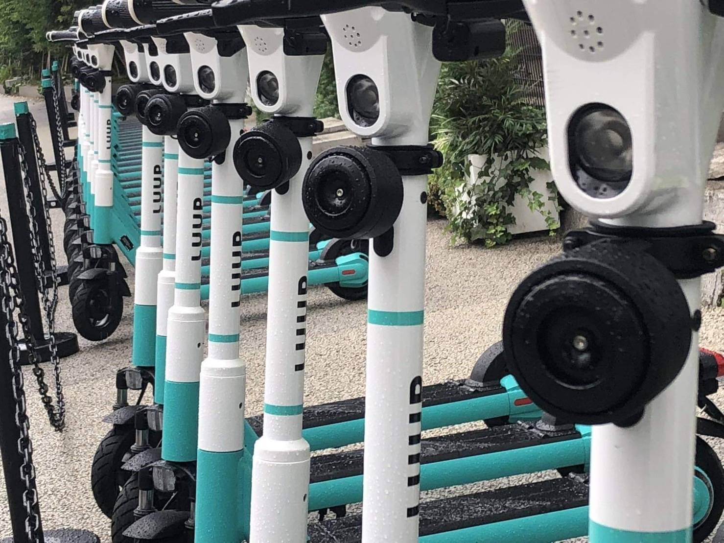 LUUPも7月1日から「特定原付」に。最高速度表示灯や6km/hモード搭載モデルを順次入れ替え（THE EV TIMES） | 自動車情報・ニュース - carview!