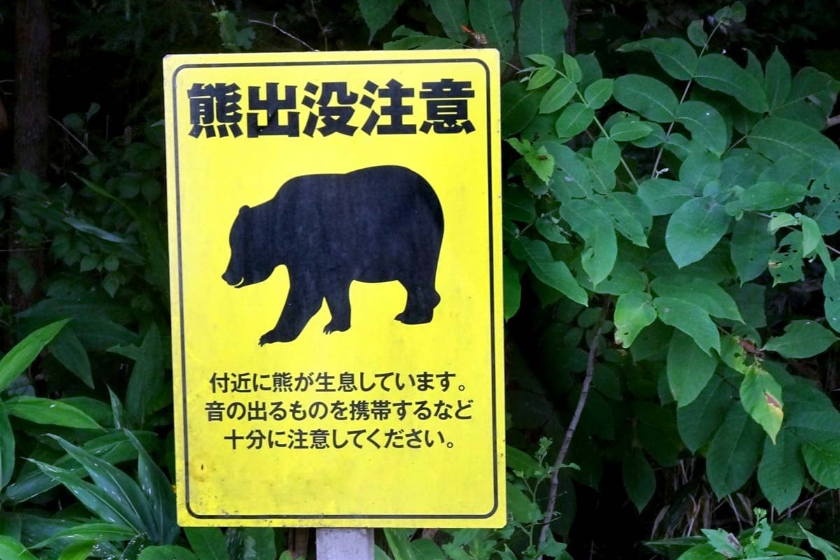 「クマ被害」過去最多12人死亡！ 通勤・通学ルートにも迫る都市近郊リスクーー「移動防衛網」は今から間に合うのか？（Merkmal） | 自動車情報・ニュース - carview!