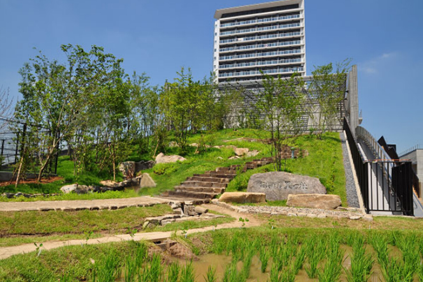 大橋JCT屋上の緑地「おおはし里の杜」、3月24日に一般公開！ 首都高の真上で自然に触れる。（くるくら） | 自動車情報・ニュース - carview!