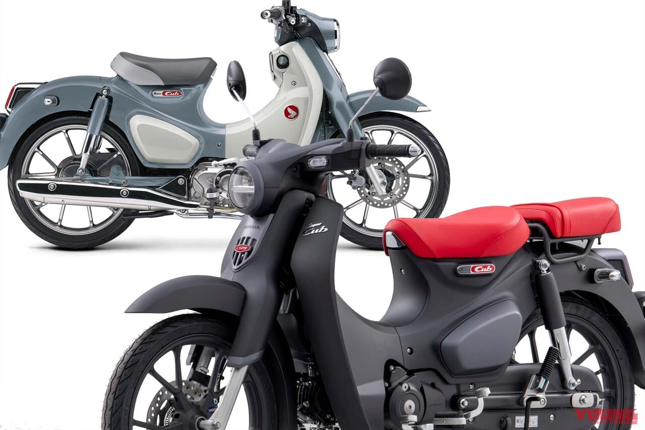ホンダ「スーパーカブC125」に新色グレーが登場！ マット色も日本導入してほしい…！【海外】（WEBヤングマシン） | 自動車情報・ニュース - carview!