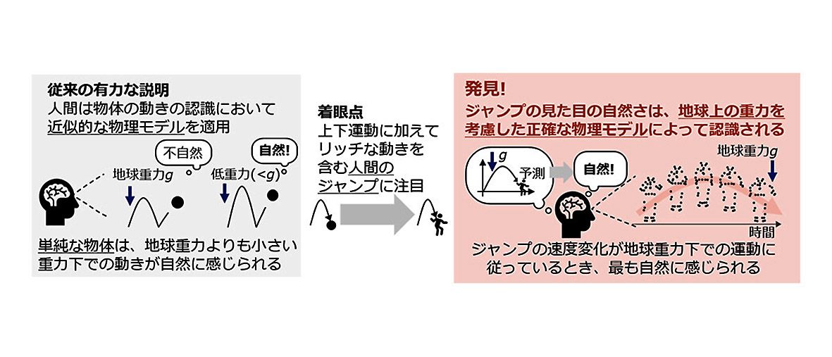 NTT、ジャンプする人間とボールの跳ね返り 「動き」の認識違いを発見 自動運転やアバターに活用（日刊自動車新聞） | 自動車情報・ニュース - carview!